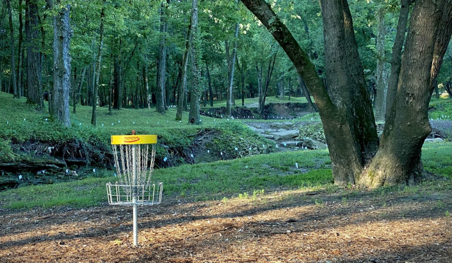Six Must-Play Disc Golf Courses - Innova Disc Golf