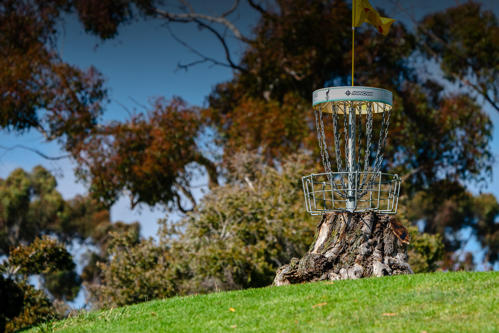 Disc Golf on Golf Courses - Innova Disc Golf