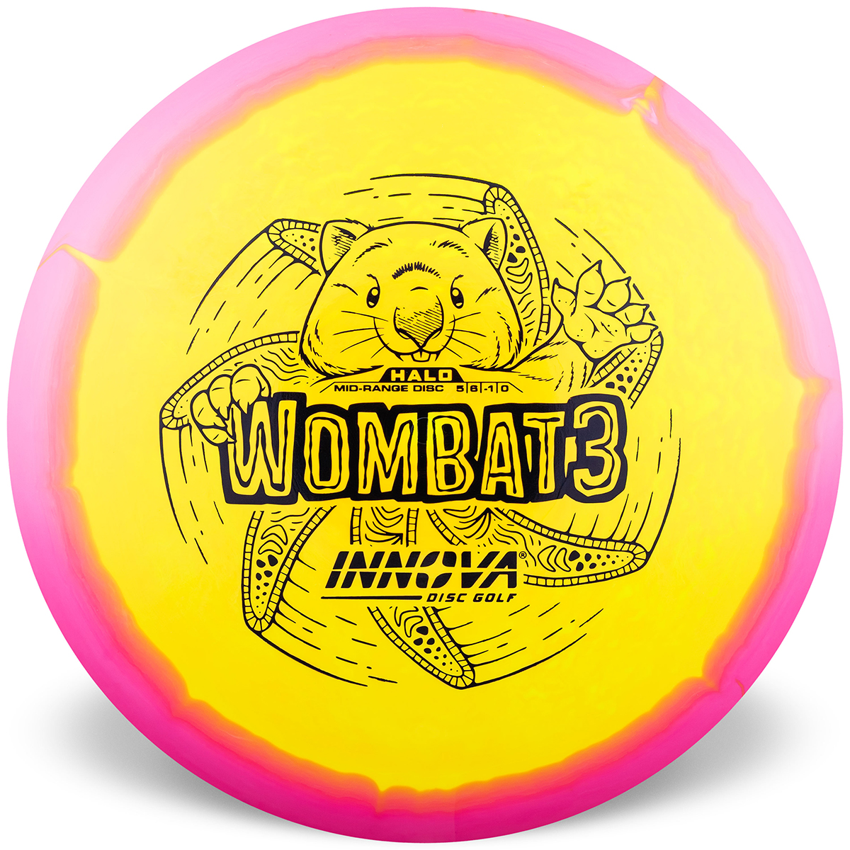 Team Innova Wins Big Across Divisions at the 2025 US Women’s Disc Golf ...