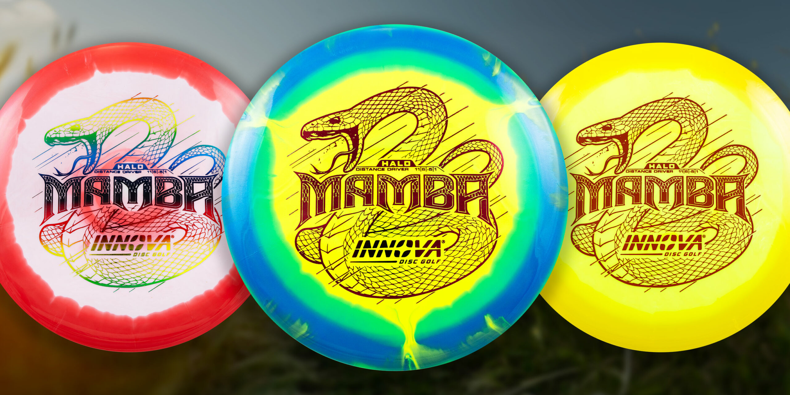 Disc Spotlight: The Mamba - Innova Disc Golf