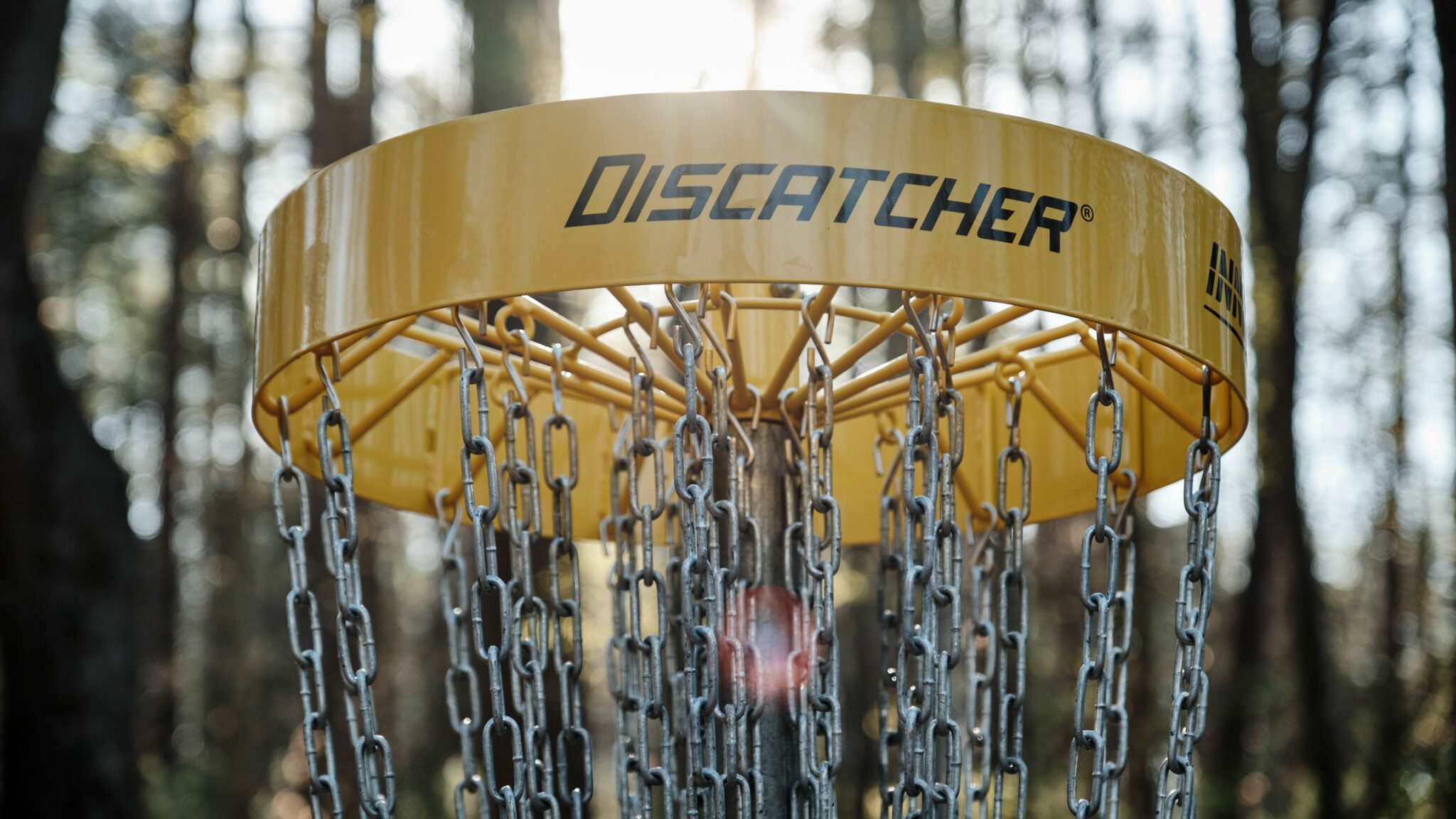 Jessica Gurthie Wins the 2026 Queen City Classic - Innova Disc Golf